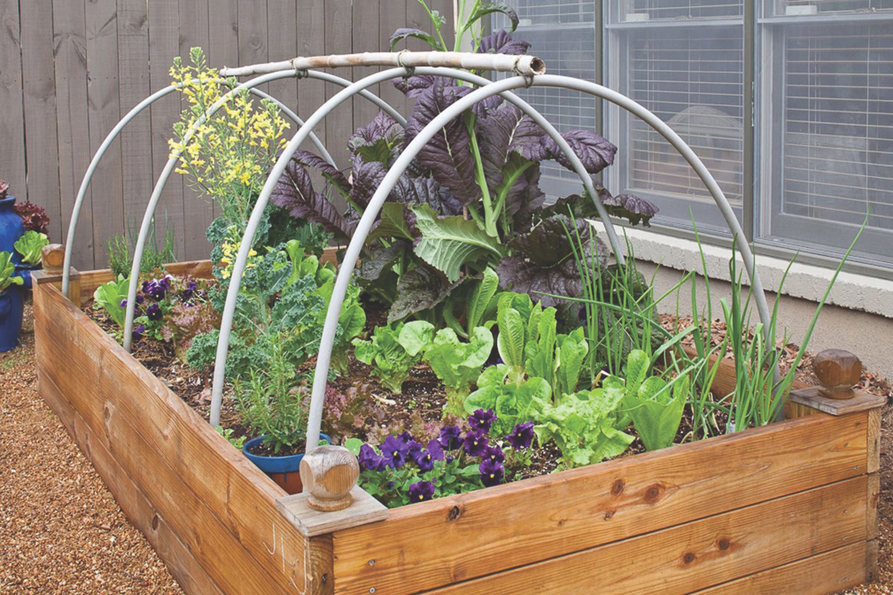 Hoop House Plans for Your Backyard Garden - Grit